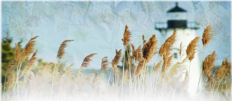 Monthly Newsletter - Malesus UMC